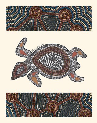 Buy Tobwabba - Turtle | Grays Australia