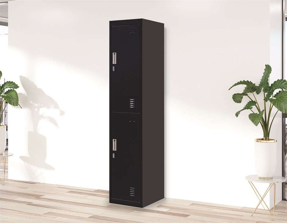 Buy 2-Door Vertical Locker for Office Gym Shed School Home Storage ...