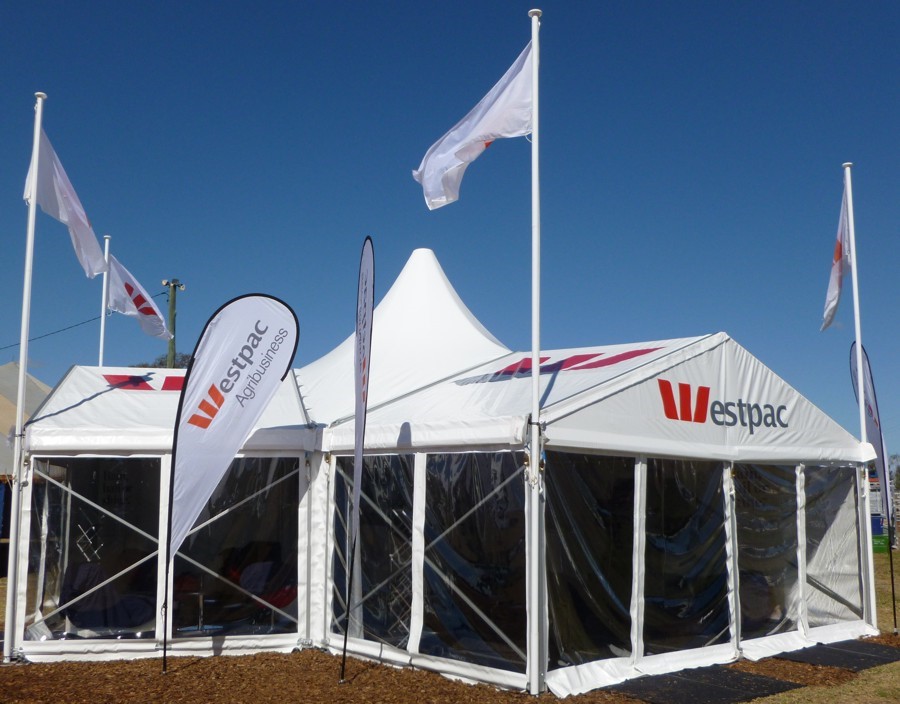 6m MEGA-TERZ RODER STRUCTURE - WHITE ROOF, WHITE WALLS. COMPLETE ...