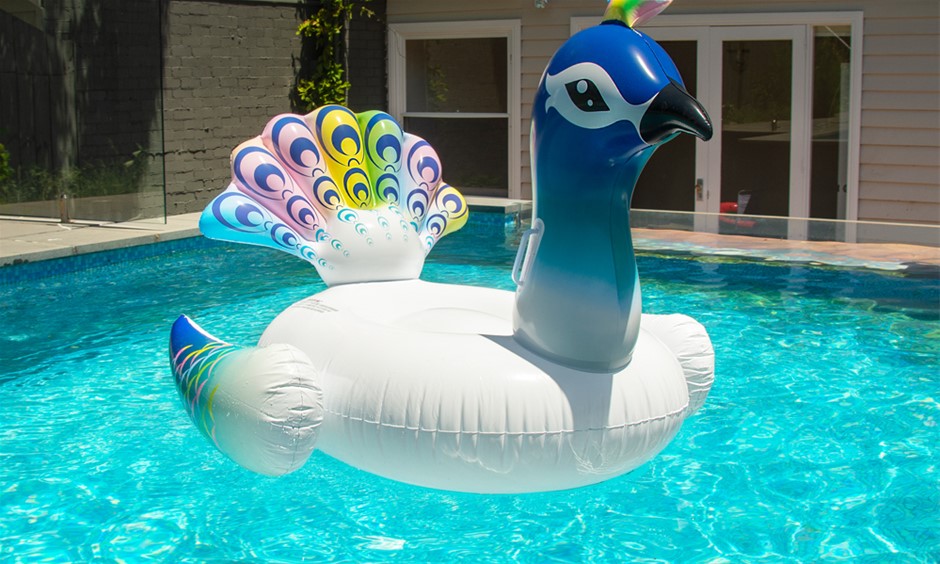 Buy Inflatable Peacock Ride-On-Float Summer Pool Floats Swim Beach Fun ...