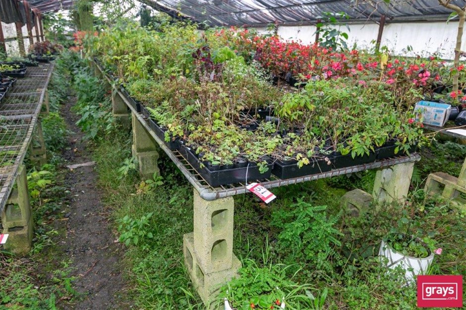 Plant Bed Frame Top Includes Plants Auction (0031-5048732) | Grays ...