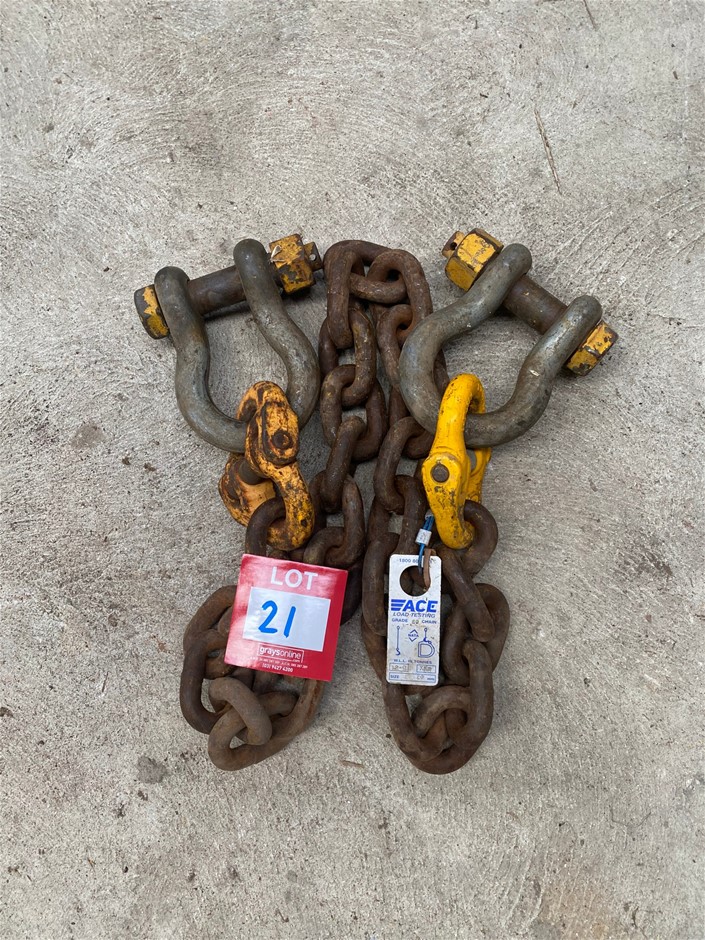 Eace 12 Tonne 20mm Chain With 2 D Shackles - 2 Meters Approx Auction ...