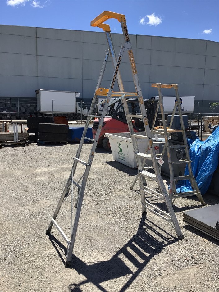 2x Extendable Aluminium Platform Ladders Auction (0102-5050692) | Grays ...