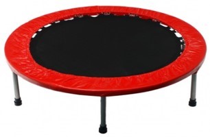 60 Inch Mini Trampoline Jogging Exercise Rebounder Red Auction (0001 ...