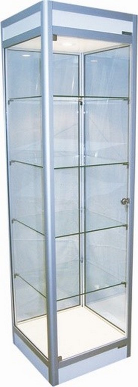 Silver Upright Aluminium Tower Display Case Auction (0130-5050782 ...