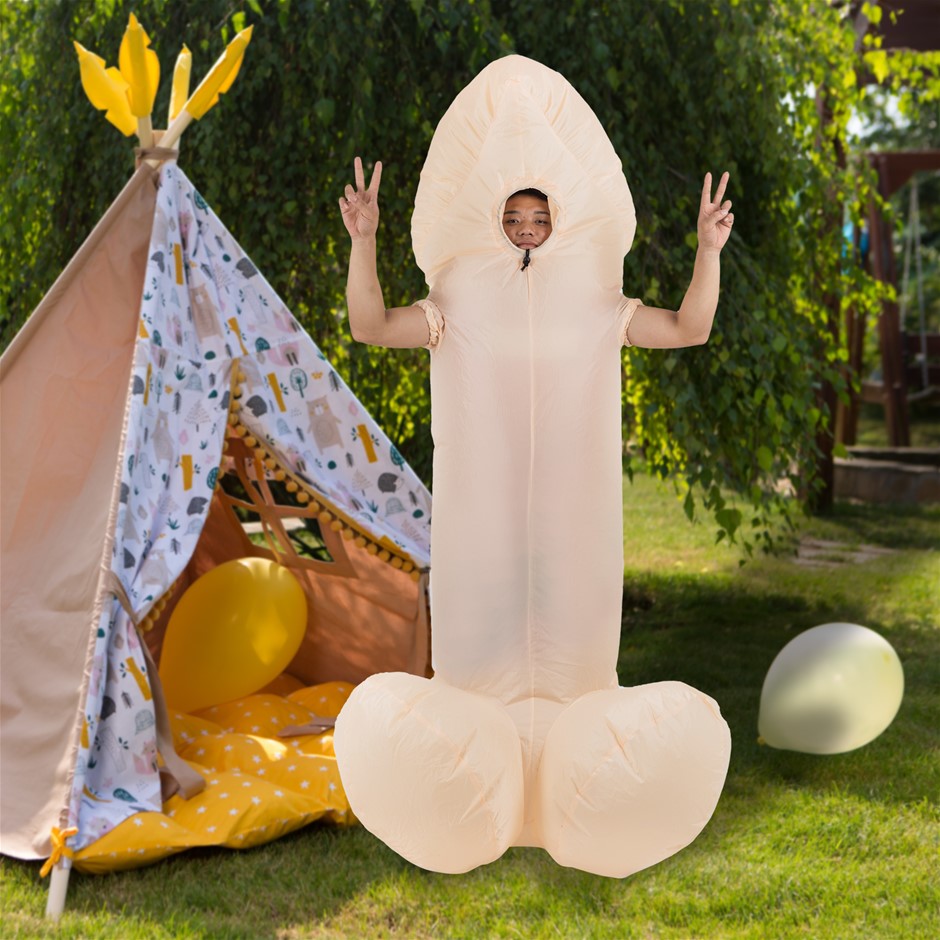 Buy WILLY Fancy Dress Inflatable Suit -Fan Operated Costume | Grays ...
