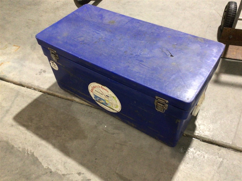 Plastic Ice Box Auction (0195-3022838) | Grays Australia