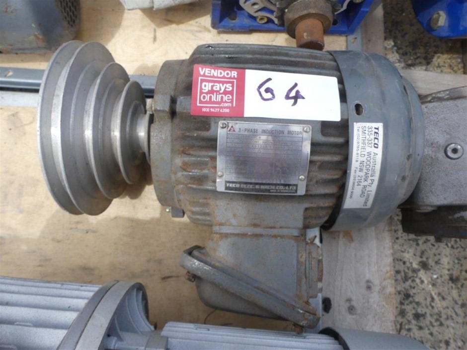 TECO 3 Phase Induction Motor Auction (0064-3024020) | Grays Australia