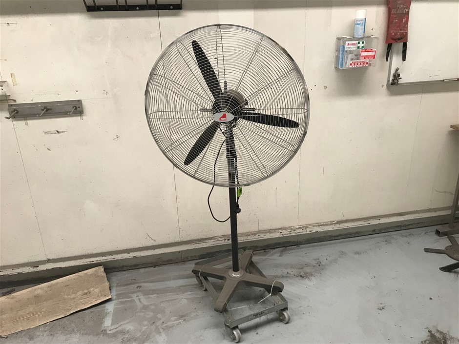 1 x TWM Industrial Pedestal Fan Auction (0017-3024202) | Grays Australia
