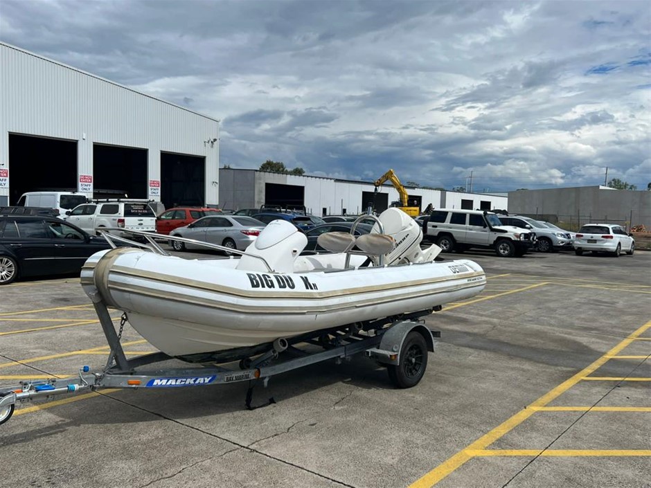 2008 Gemini 5m Rib Boat, 100HP Etec Evinrude Auction (0001-10081398 ...