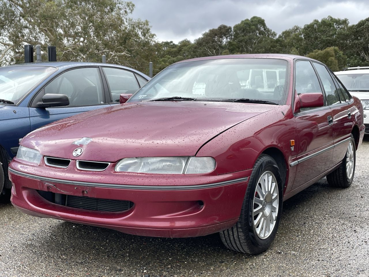 1996 Holden Commodore Acclaim VS Automatic Sedan Auction (0001-20079303 ...