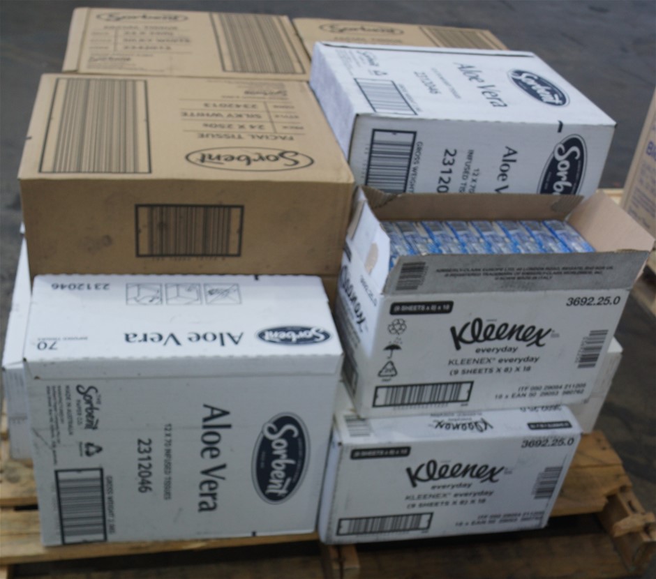 Pallet of Sorbent Aloe Vera Facial Tissues Auction (0003-2187898 ...