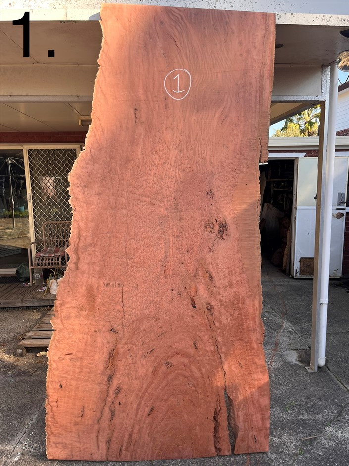 Extremely Large Timber Slab - Red Gum Auction (0001-5053530) | Grays ...