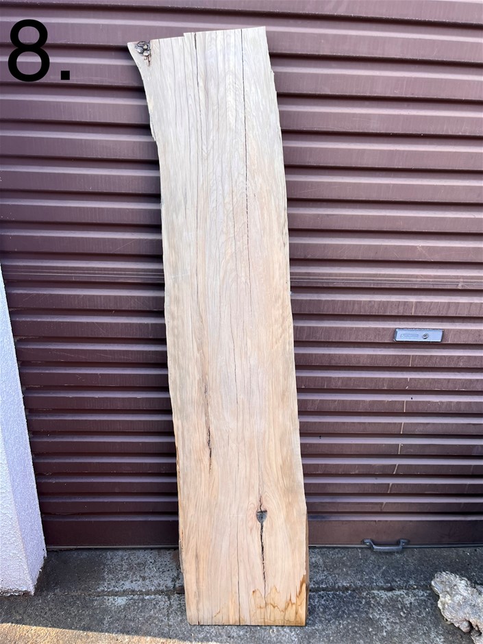 Timber Slab - Macrocarpa Auction (0008-5053530) | Grays Australia