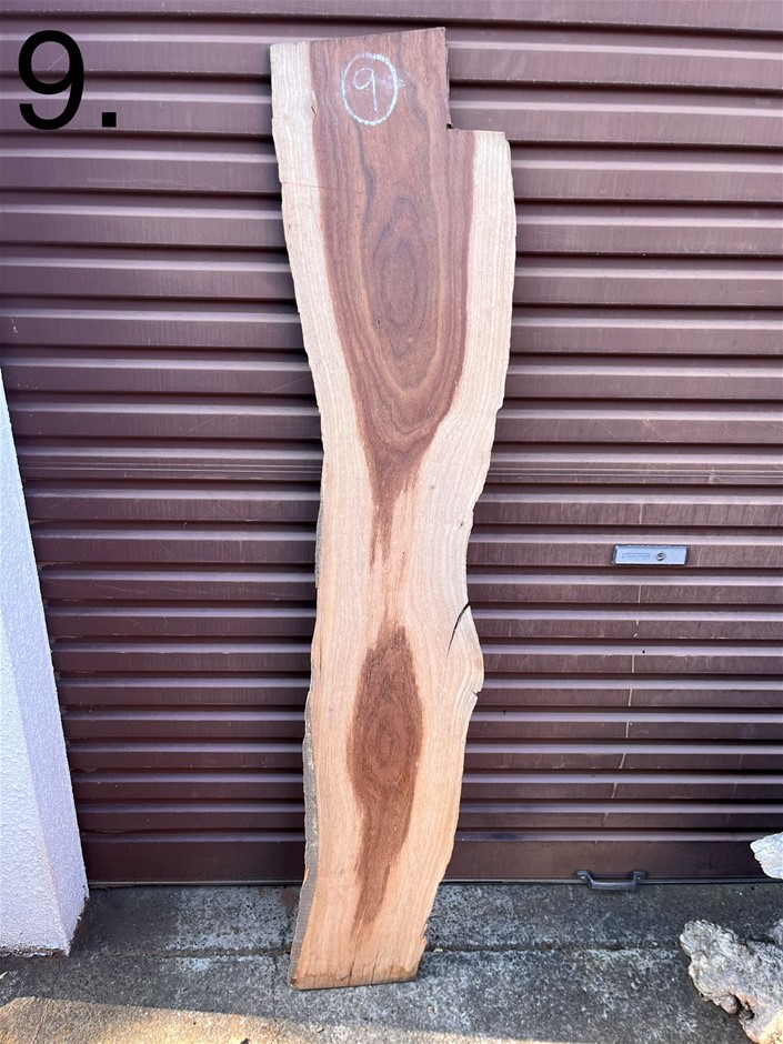 Timber Slab - Tasmanian Blackwood Auction (0009-5053530) | Grays Australia