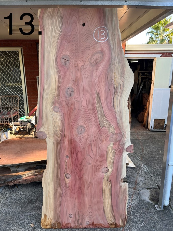 Large Timber Slab -Sequoia / Californian Redwood Auction (0013-5053530 ...