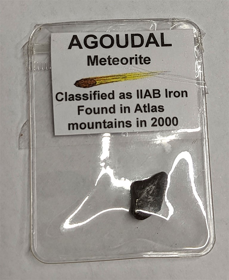 AGOUDAL Iron Meteorite Auction (0029-2555560) | Grays Australia