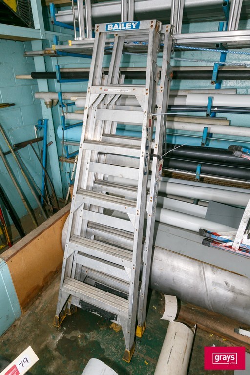 2x Baily Step Ladder Auction (0060-5054620) | Grays Australia