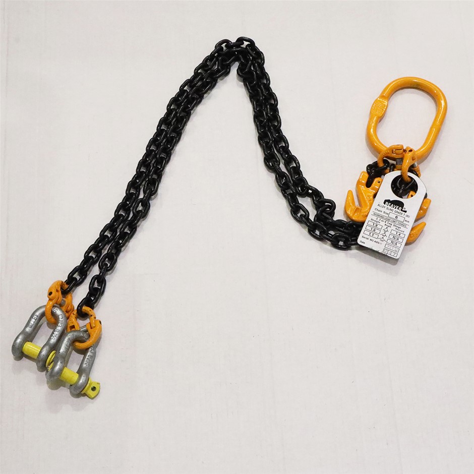 Lifting Chain Sling 2-Leg WLL 1900kg x 1.2M c/w Shorteners and Dee ...