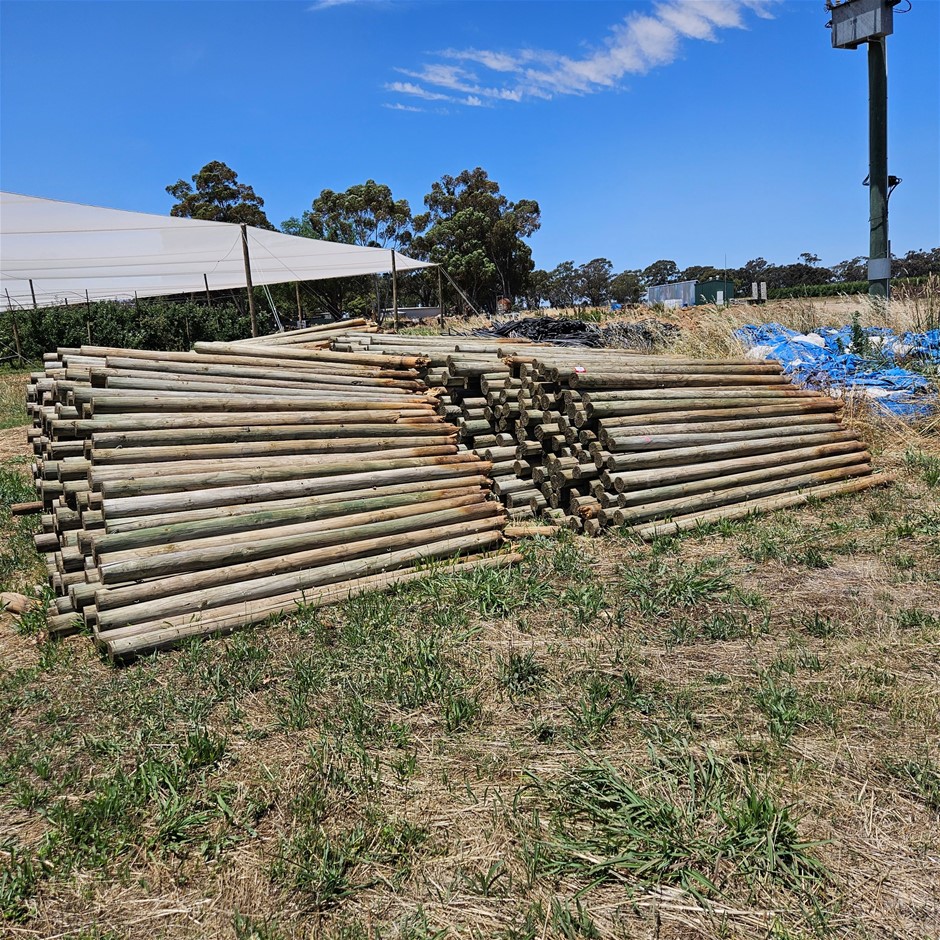 Large Quantity of Treated Pine Timber Posts Auction (0306-3027813 ...