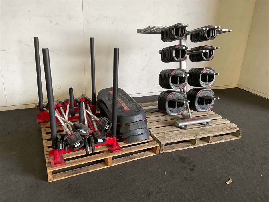Qty of Assorted Gym Equipment Auction (0033-7049964) | Grays Australia