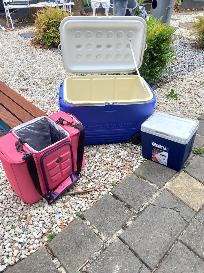 Esky Cooler Large and Small and Cooler Pack Auction (0087-3028764 ...