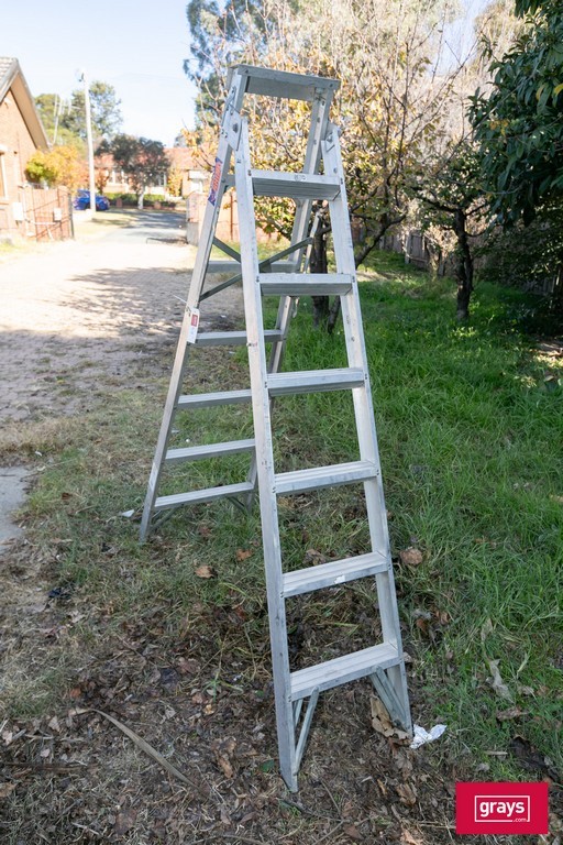RHINO Dual Purpose Step Ladder Auction (0047-5056516) | Grays Australia