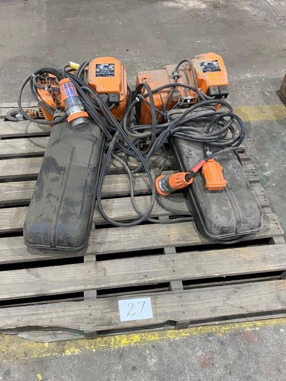 2 x Pacific Hoists Electric Chain Auction (0027-3029392) | Grays Australia
