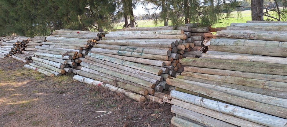Approximately 1000 x Used Pine Posts Assorted Lengths 2m+ Auction (0001 ...