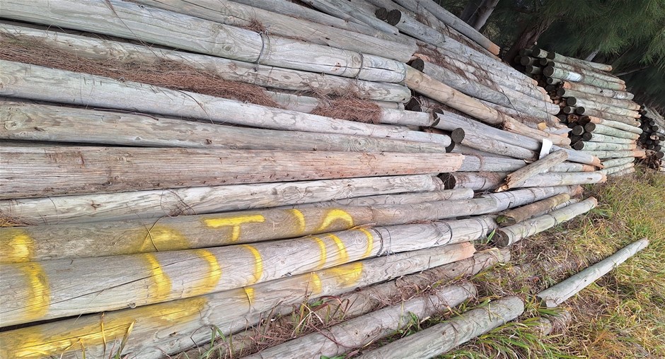 Approximately 1000 x Used Pine Posts Assorted Lengths 2m+ Auction (0010 ...