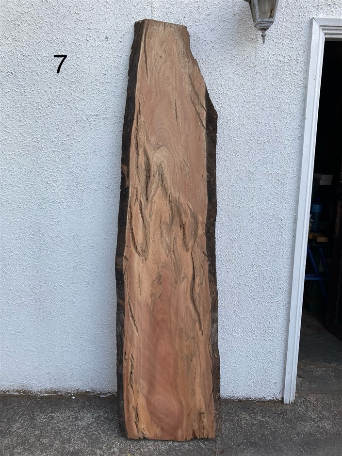 African Mahogany Timber Slab Auction (0007-5058044) | Grays Australia