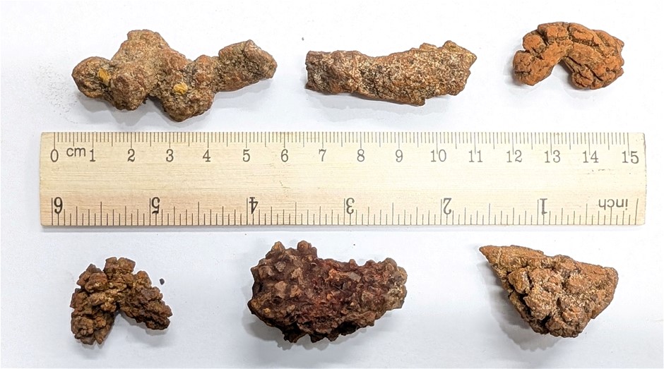 Six COPROLITE Dinosaur poop Fossils from Madagascar Auction (0023 ...