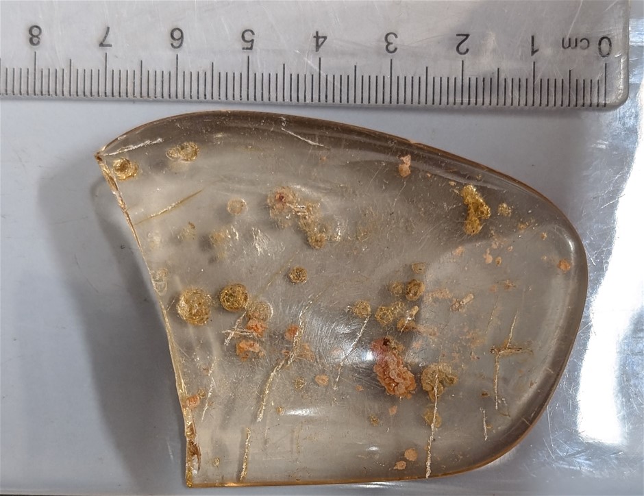 21 Gram Fossil Tree Resin Young Amber Copal from Madagascar Auction ...