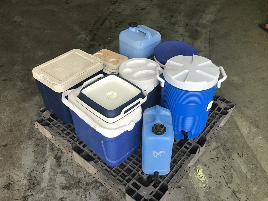 Quantity of Eskies and Water Coolers Auction (0003-8020140) | Grays ...