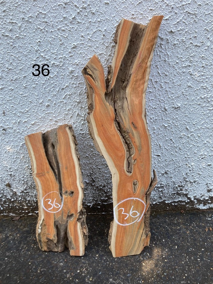 2 x Conkerberry Craft Wood Timber Blanks Auction (0036-5059895) | Grays ...