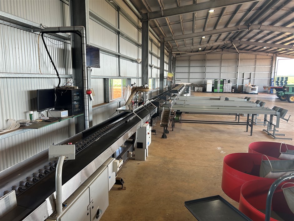 2002 Compac Computerised Fruit Grading and Packaging Machine Auction ...