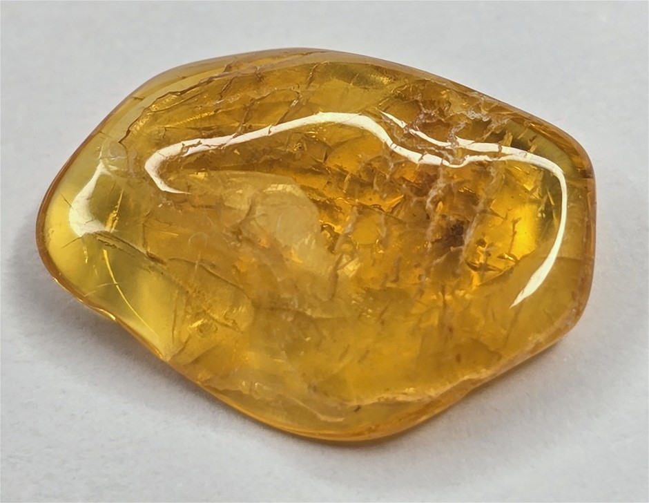 3 MILLION YEAR OLD PIECE OF AMBER FILLED WITH A PREHISTORIC INSECT ...